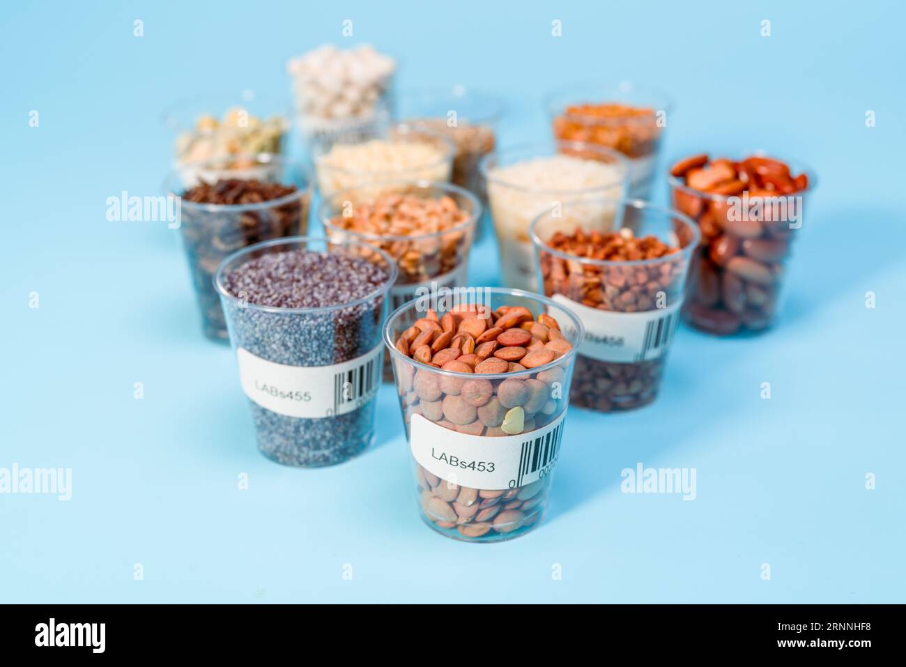 Breeding for Local Adaptation: Developing crop varieties that are ...