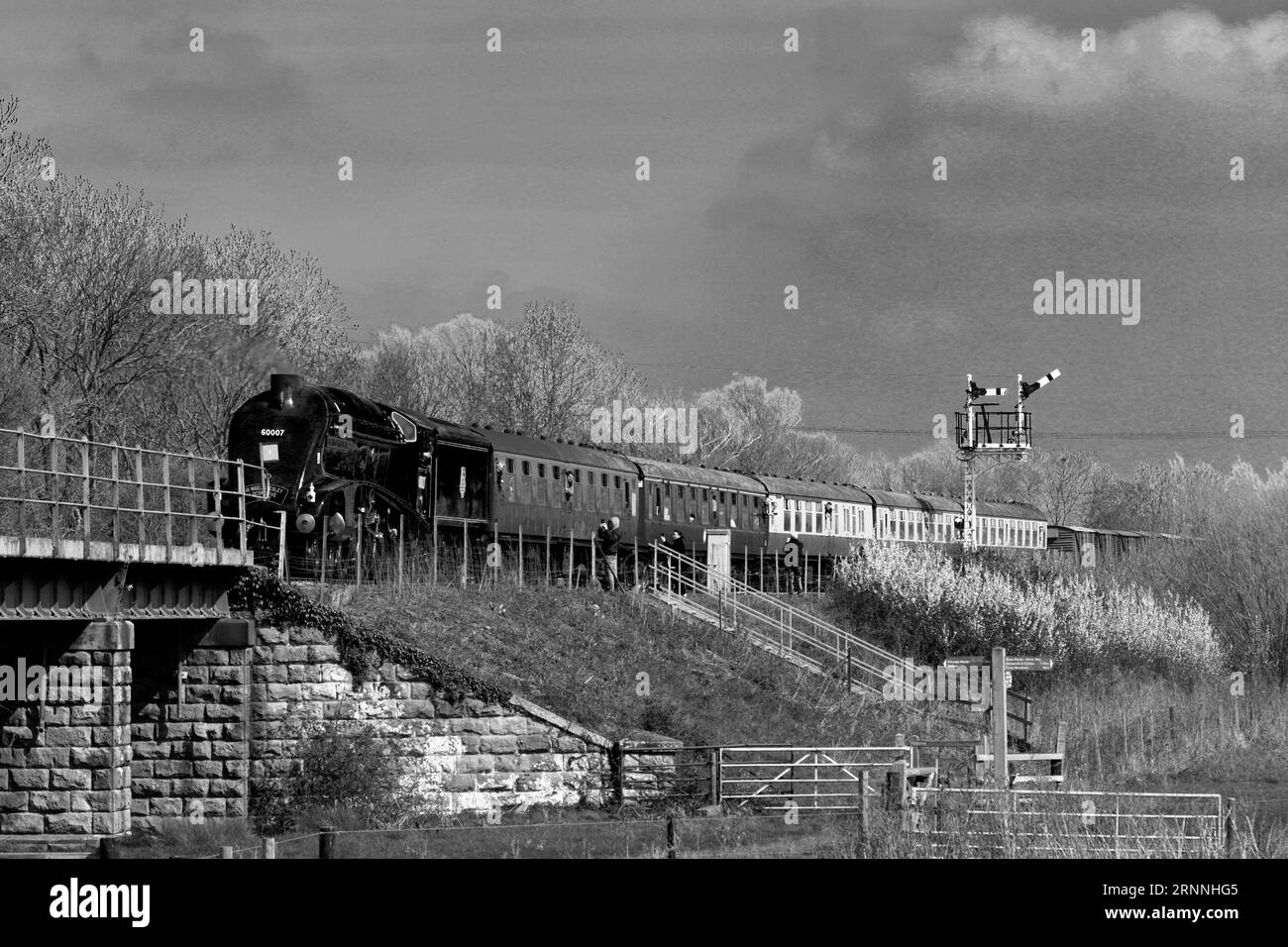 LNER Class A4 Pacific train, 60007 Sir Nigel Gresley at Nene Valley ...