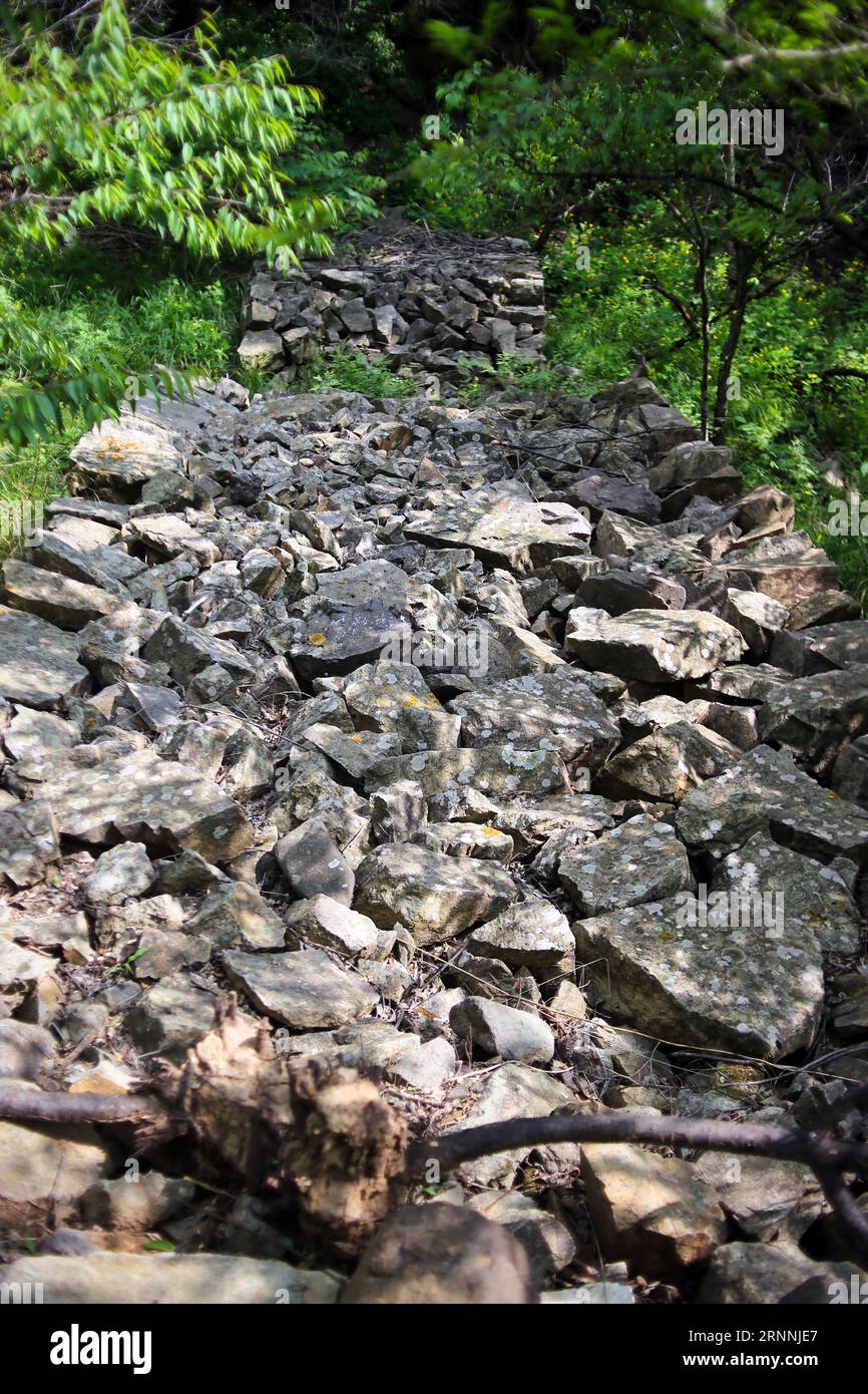 A vertical of a rocky pathway lined with green shrubs Stock Photo - Alamy