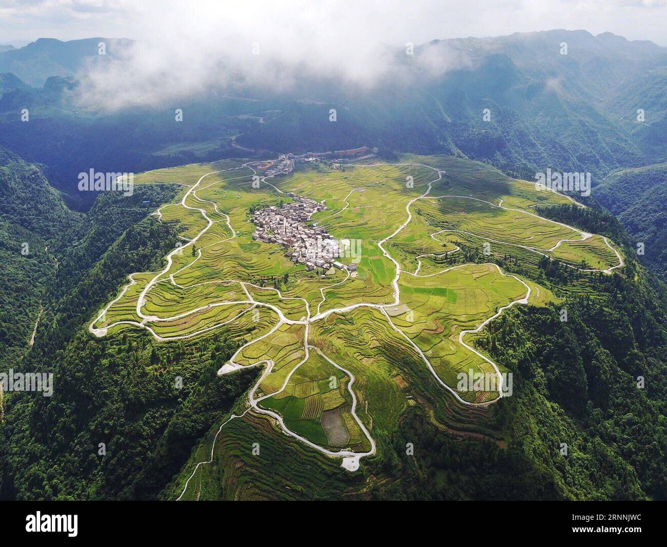 (170718) -- DUSHAN, July 18, 2017 -- Photo taken on July 18, 2017 shows ...