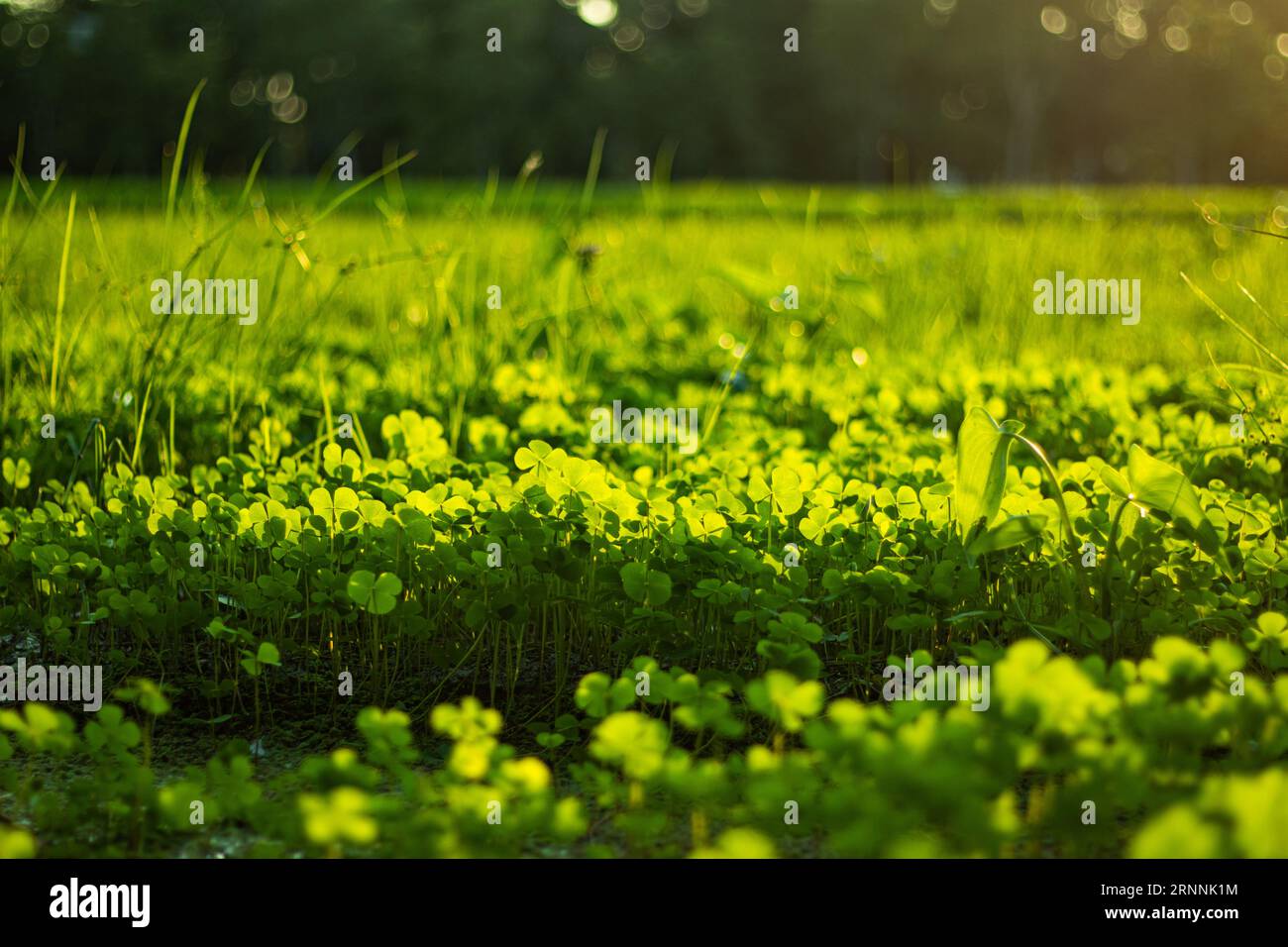 Livelihood hi-res stock photography and images - Alamy