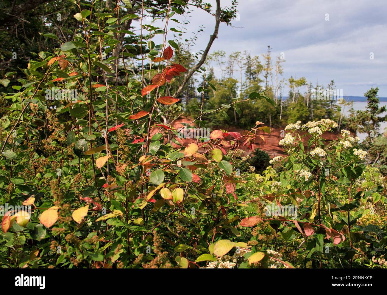 The Shubenacadie River stretches 72 kilometres from Grand Lake to ...