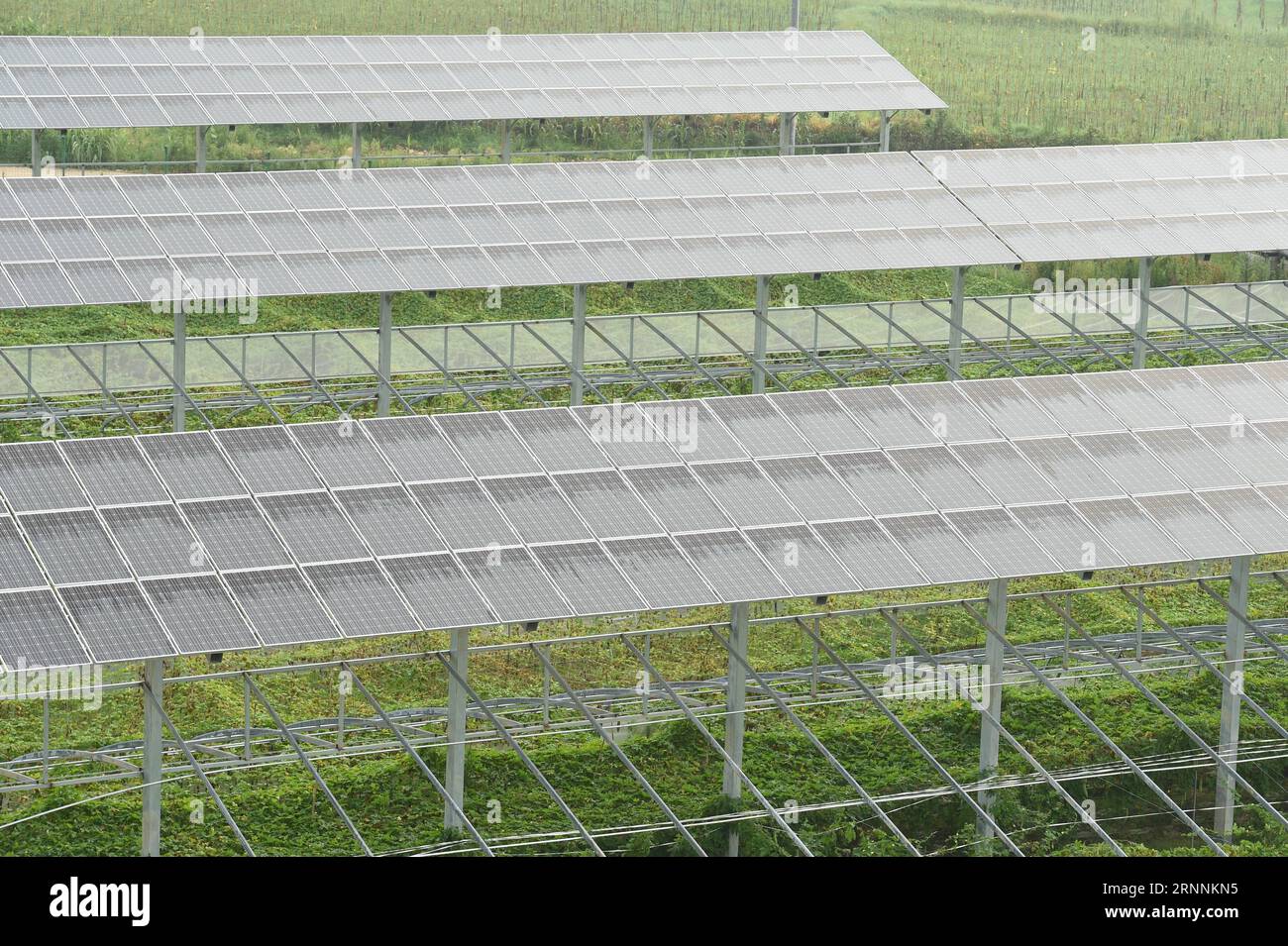 Model shows green solar panels hi-res stock photography and images - Alamy