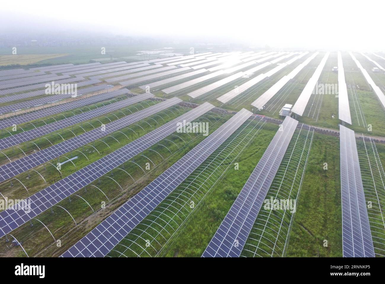 Model shows green solar panels hi-res stock photography and images - Alamy