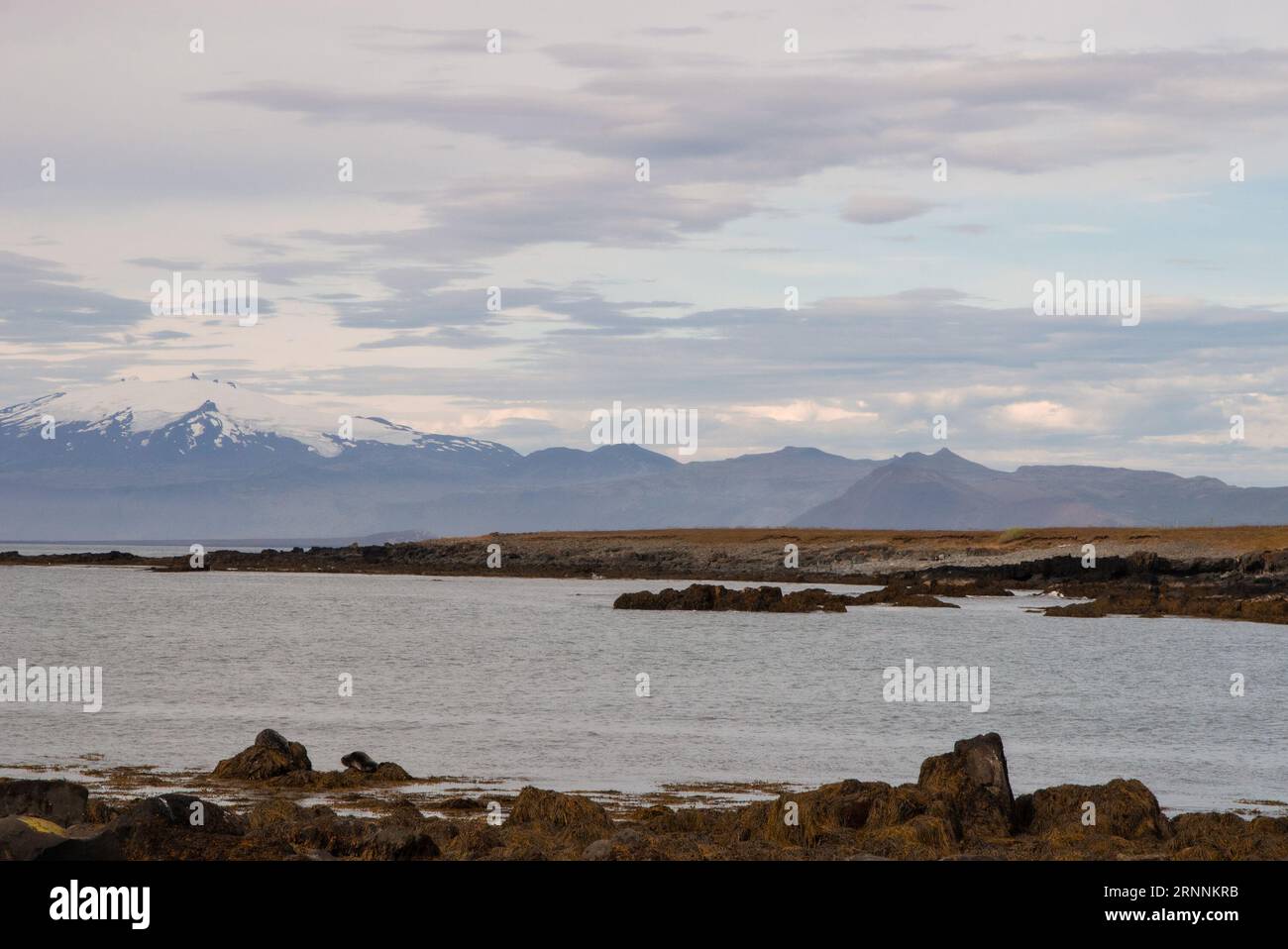 Church seals hi-res stock photography and images - Alamy