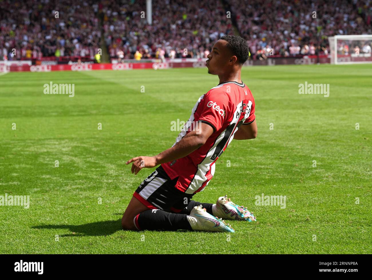 Sheffield United's Cameron Archer celebrates scoring their side's first ...