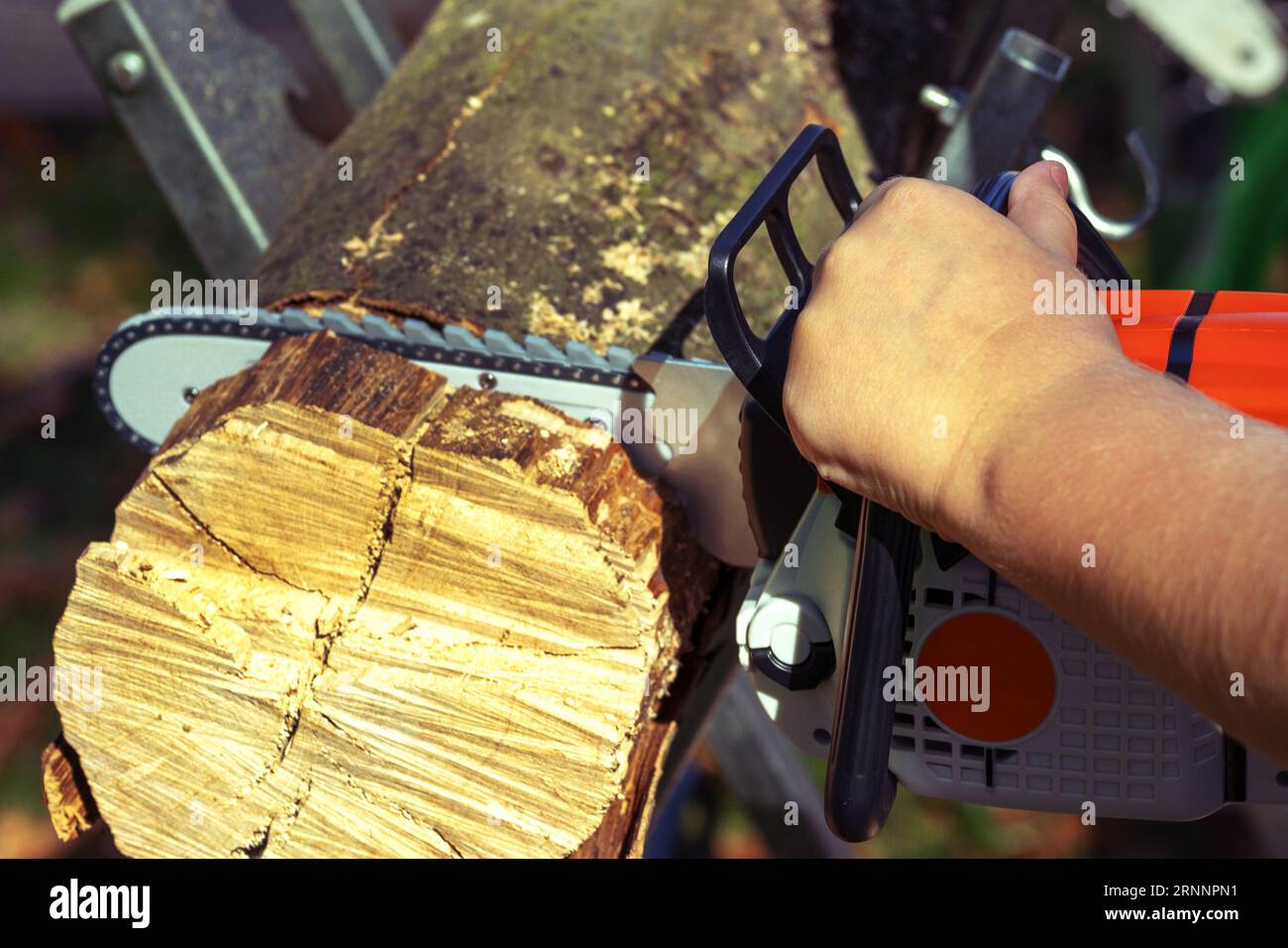 hand hold the chainsaw. Log cut chainsaw. Preparation of firewood for ...