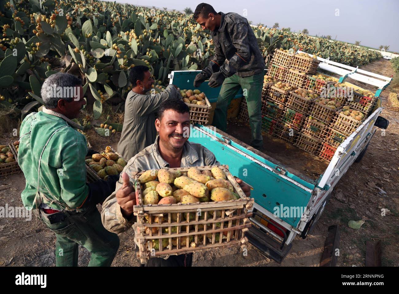 Monofiya hi-res stock photography and images - Alamy