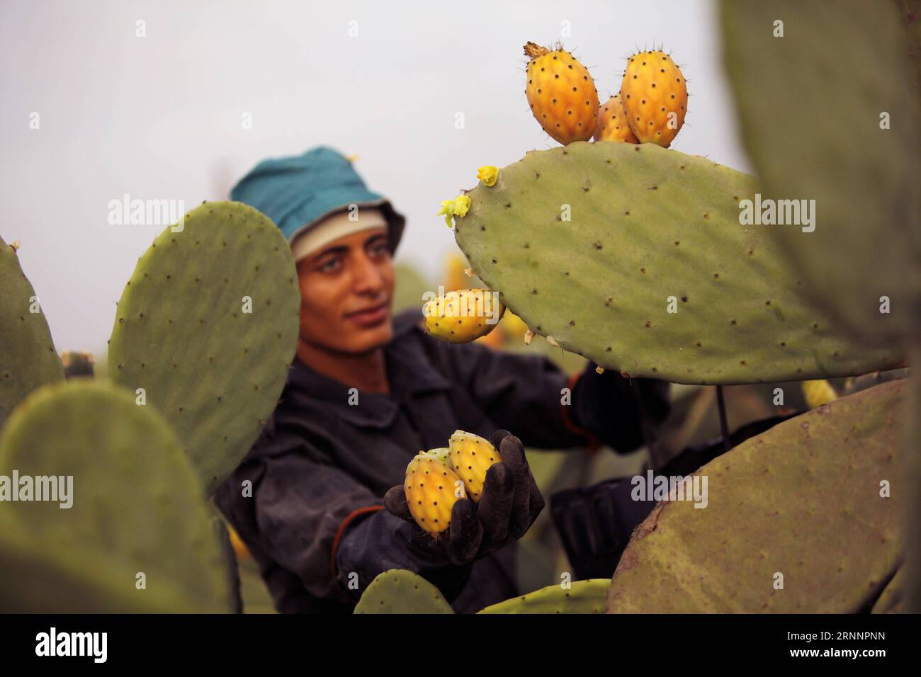 Monofiya hi-res stock photography and images - Alamy