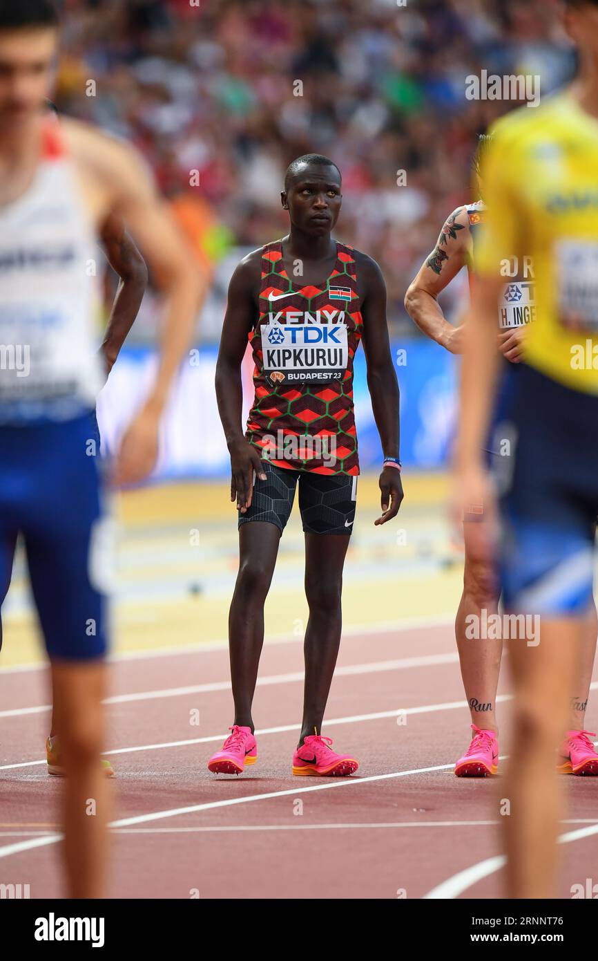 5000m race start line hi-res stock photography and images - Alamy