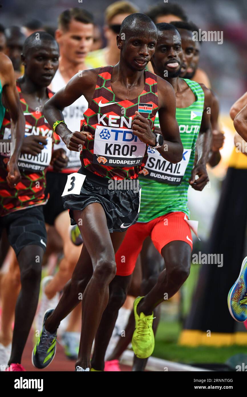 5000m race start line hi-res stock photography and images - Alamy