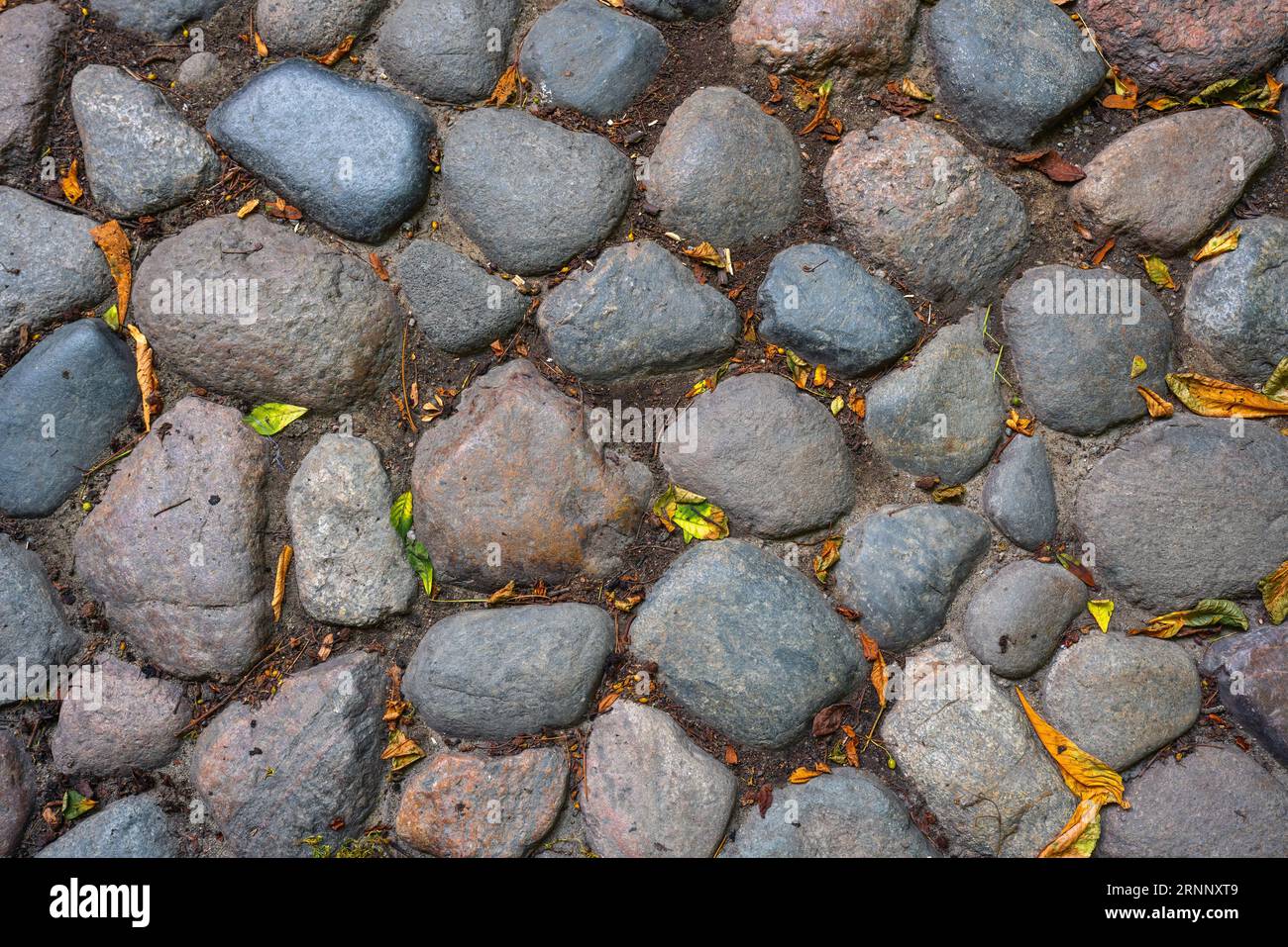 Garden flooring texture hi-res stock photography and images - Alamy