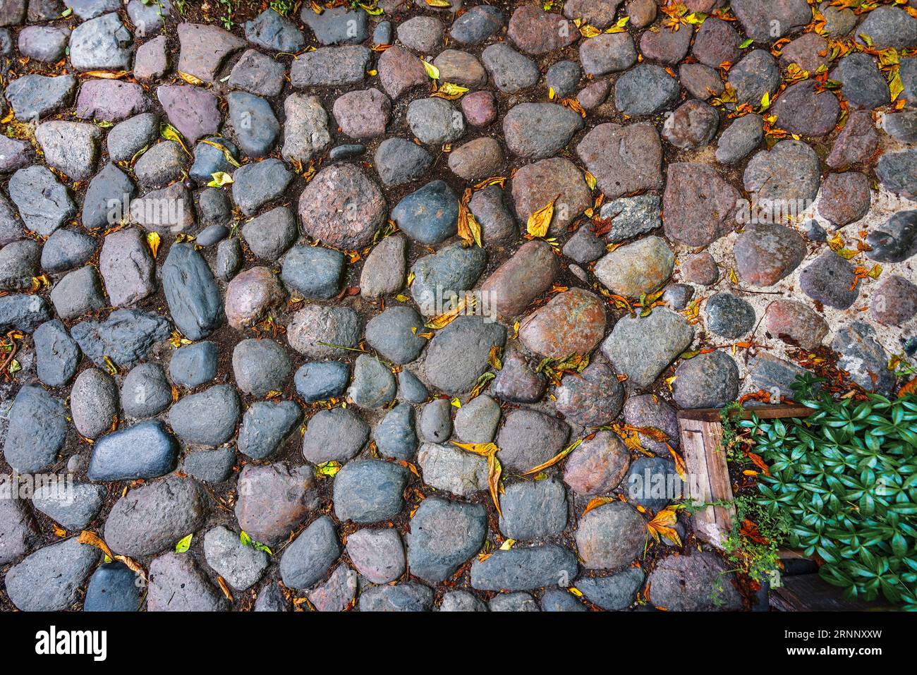 Garden flooring texture hi-res stock photography and images - Alamy