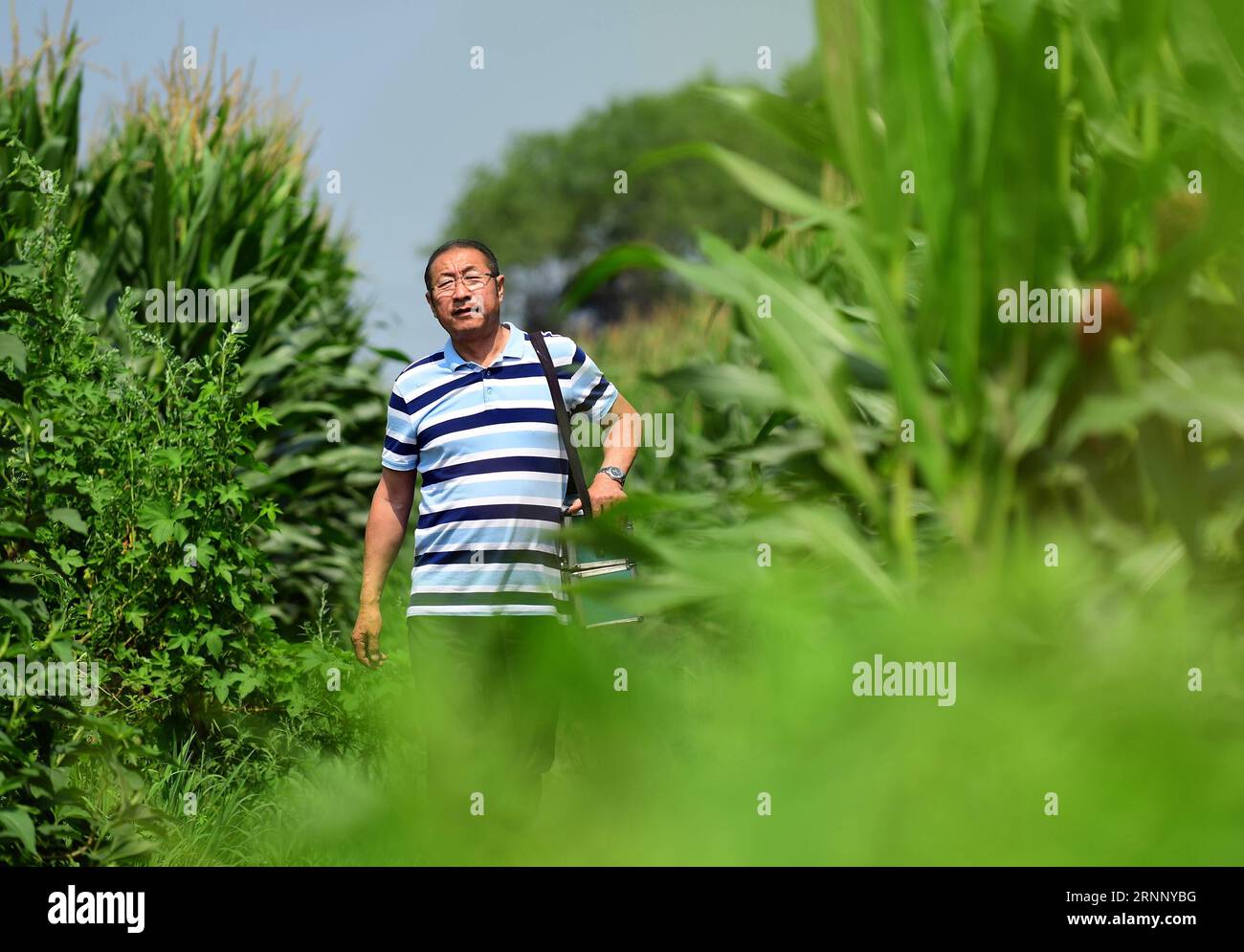 Stayed 2 years hi-res stock photography and images - Alamy