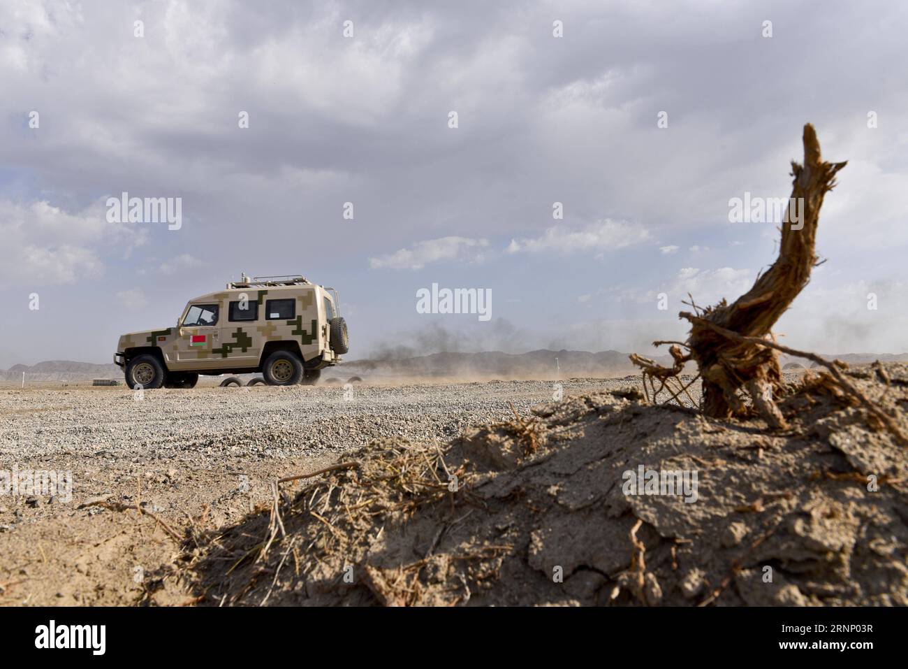 China xinjiang korla int hi-res stock photography and images - Alamy