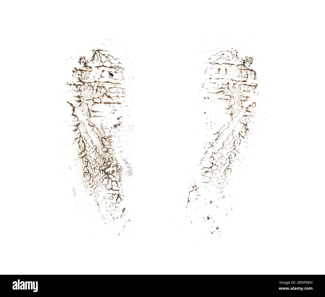 Two black dirty footprint isolated on white background Stock Photo - Alamy