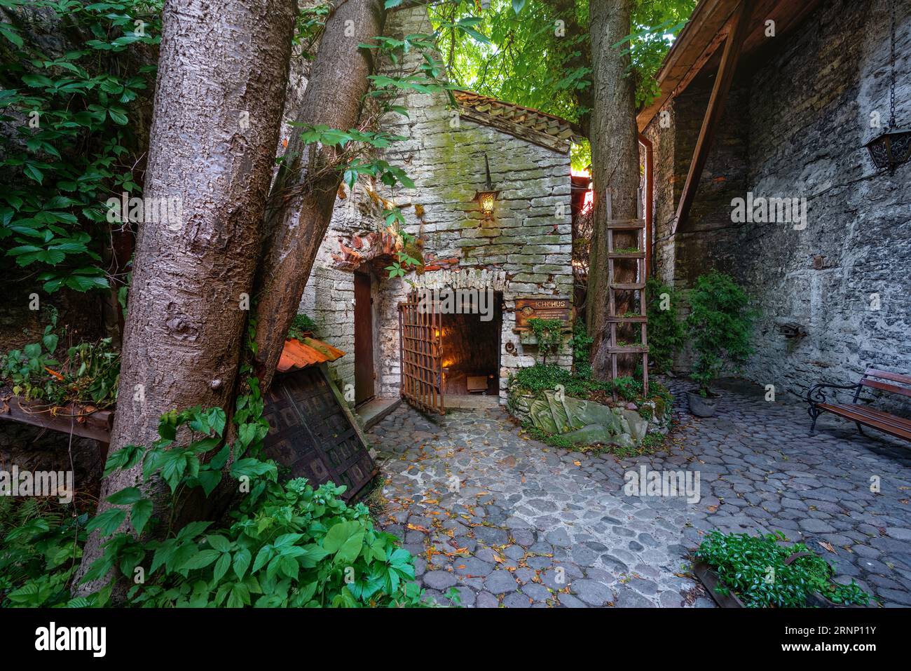 Old Dominican Monastery Claustrum - Tallinn, Estonia Stock Photo - Alamy
