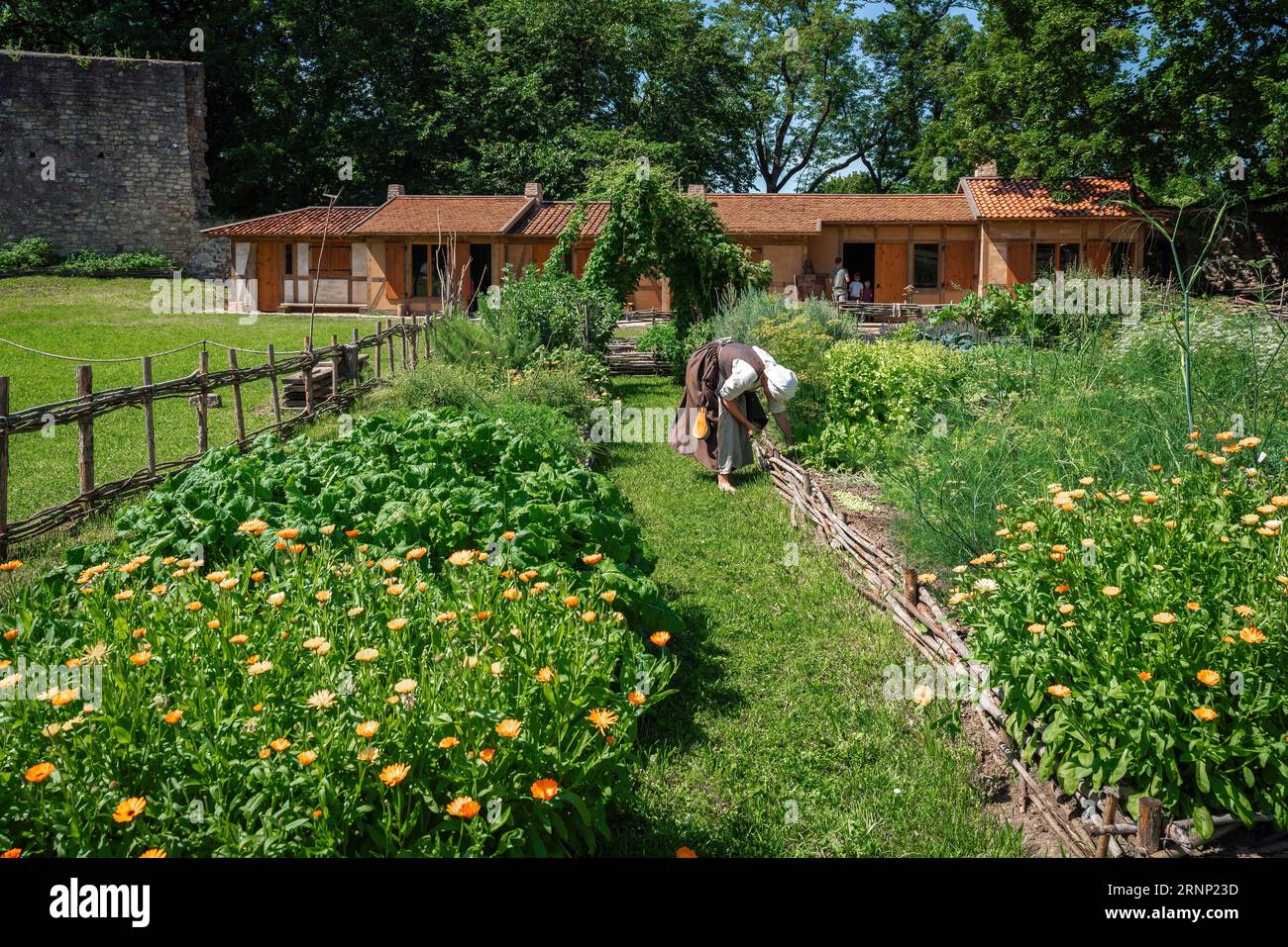 Walled garden medieval hi-res stock photography and images - Alamy