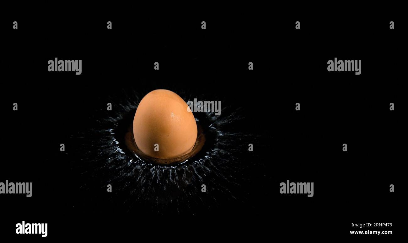 Egg Falling on Water against Black Background Stock Photo - Alamy