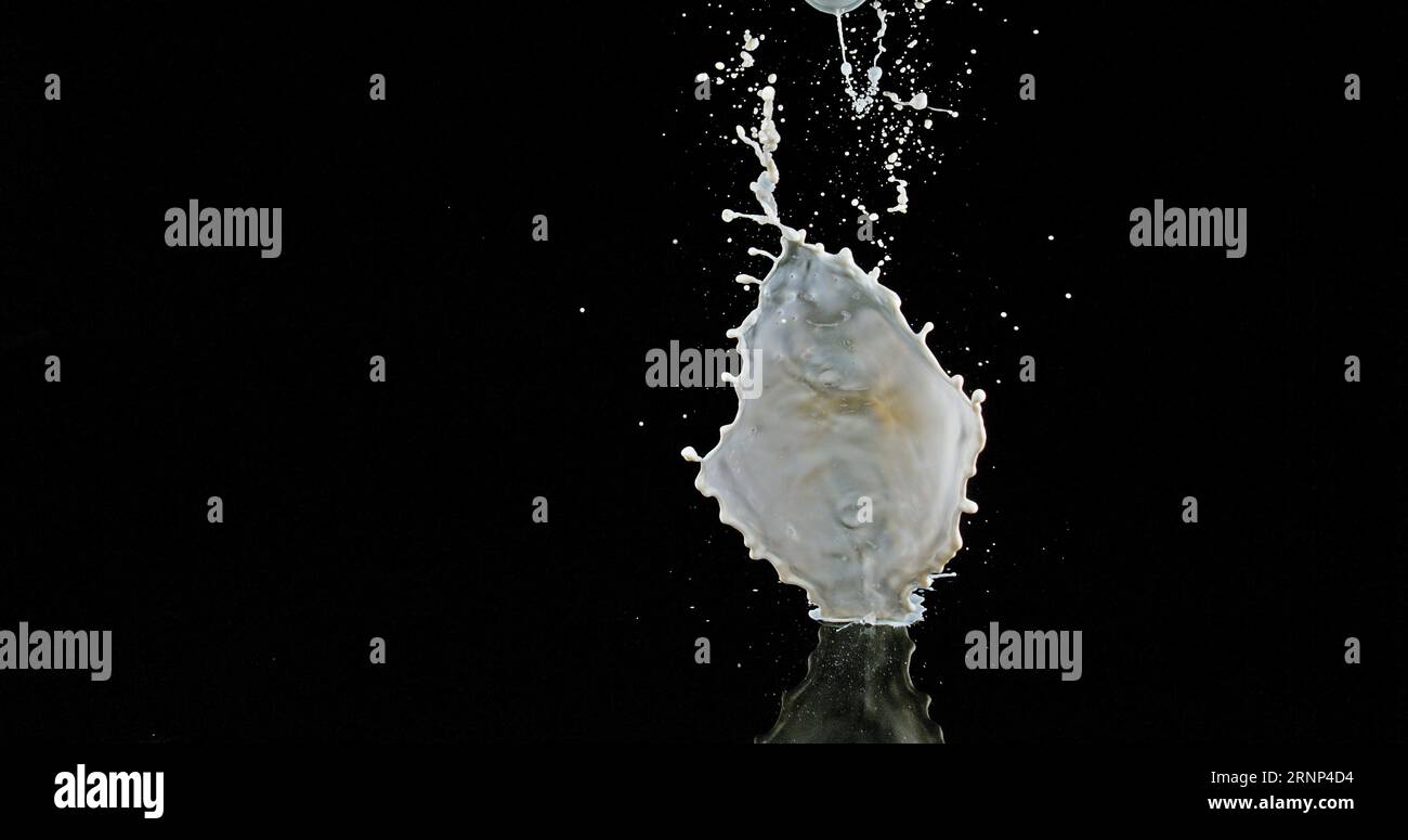 Milk Bouncing and Splashing on Black Background Stock Photo - Alamy