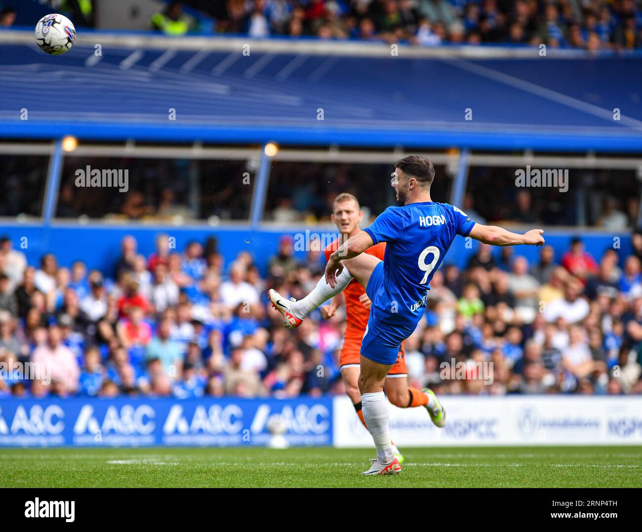 Scott hogan hi-res stock photography and images - Alamy