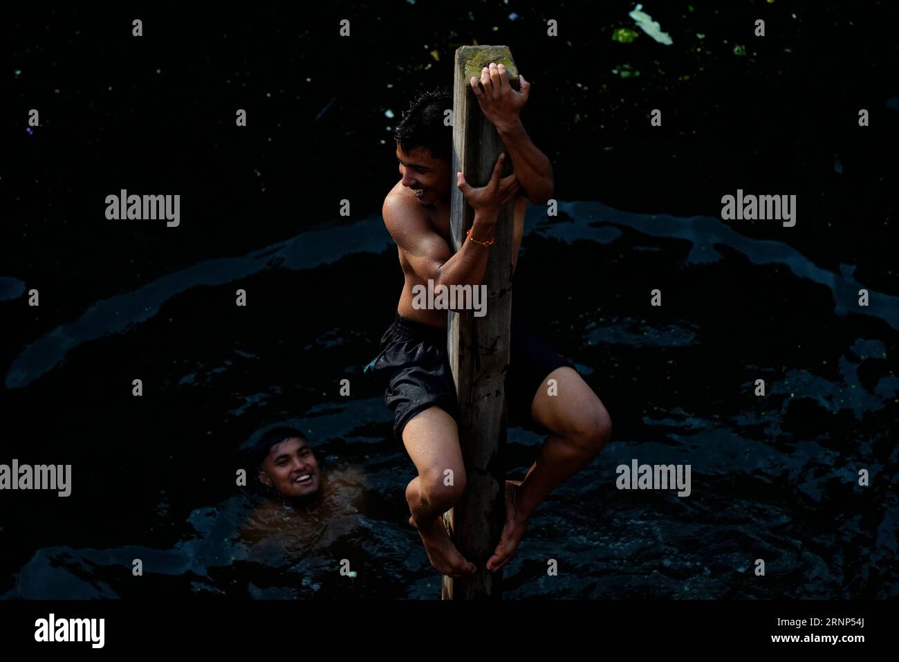 Goat play area hi-res stock photography and images - Alamy