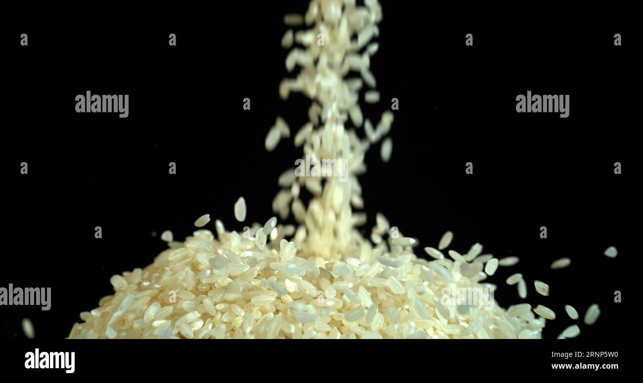 Rice falling against Black Background Stock Photo - Alamy