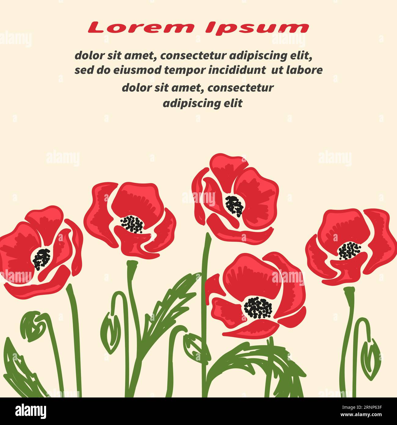 Remembrance poppy vector vectors hi-res stock photography and images ...