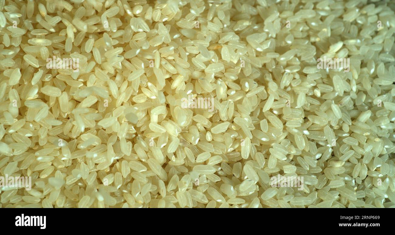 Rice falling against Black Background Stock Photo - Alamy
