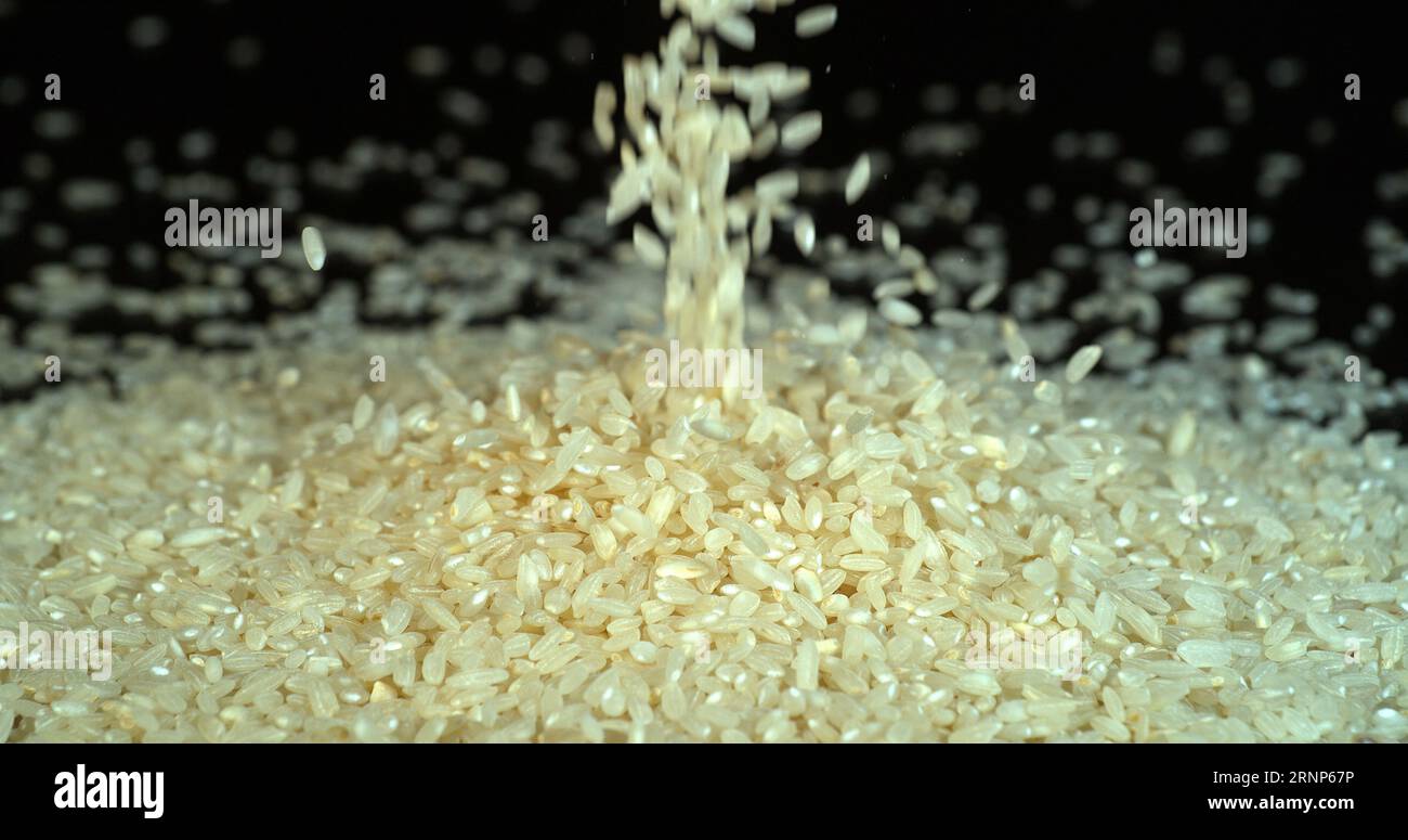 Rice falling against Black Background Stock Photo - Alamy