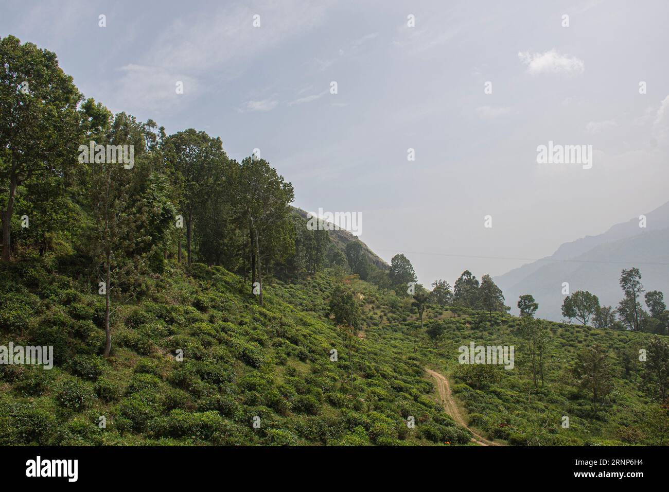 Badulla sri lanka hi-res stock photography and images - Alamy