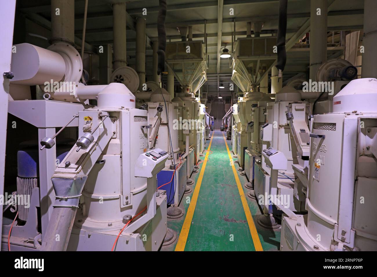 Advanced rice processing equipment in a grain processing plant, North ...