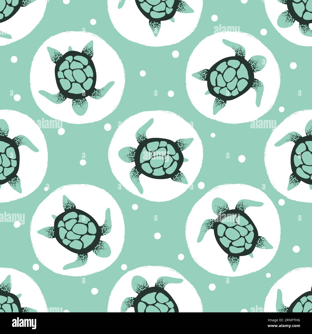 Watercolor isolated tortoise hi-res stock photography and images - Alamy