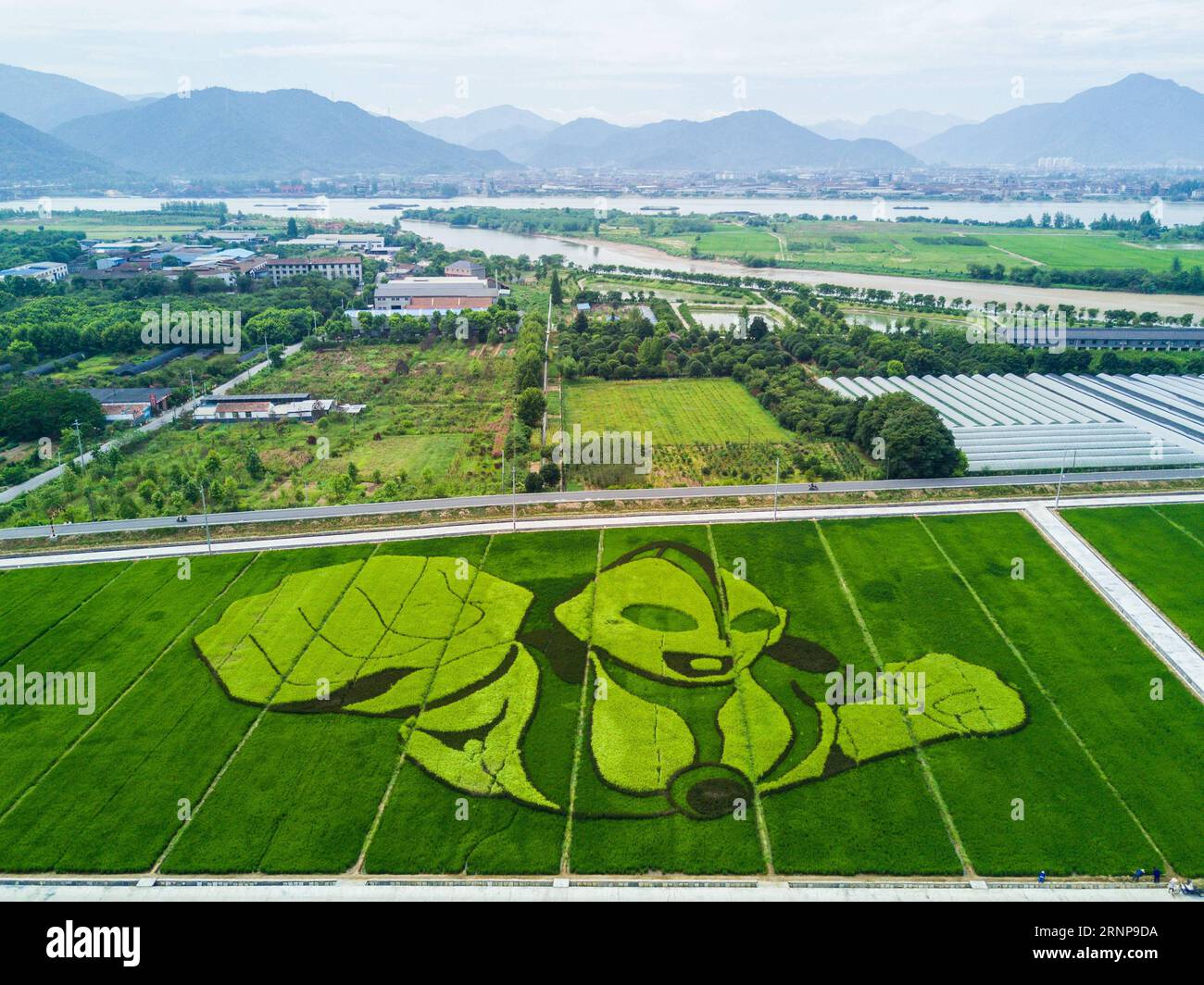 Cartoon bilder hi-res stock photography and images - Alamy