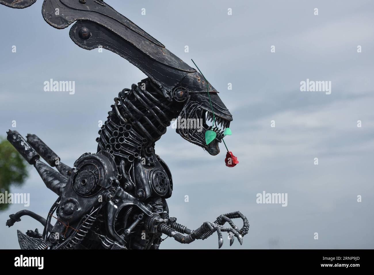 Scrap queen hi-res stock photography and images - Alamy