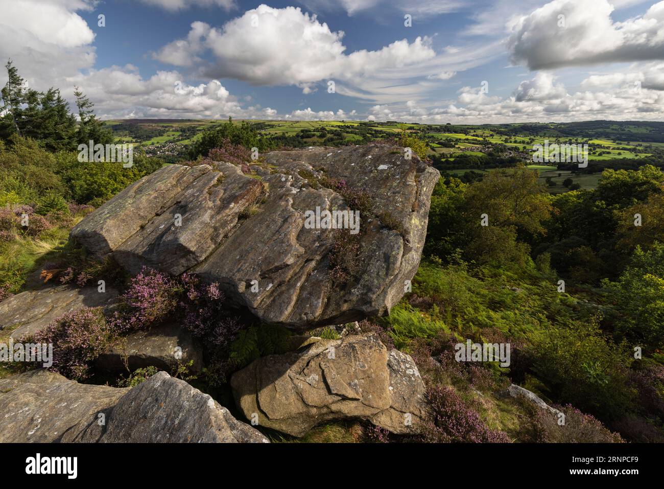 North yorkshire heather rock hi-res stock photography and images - Alamy