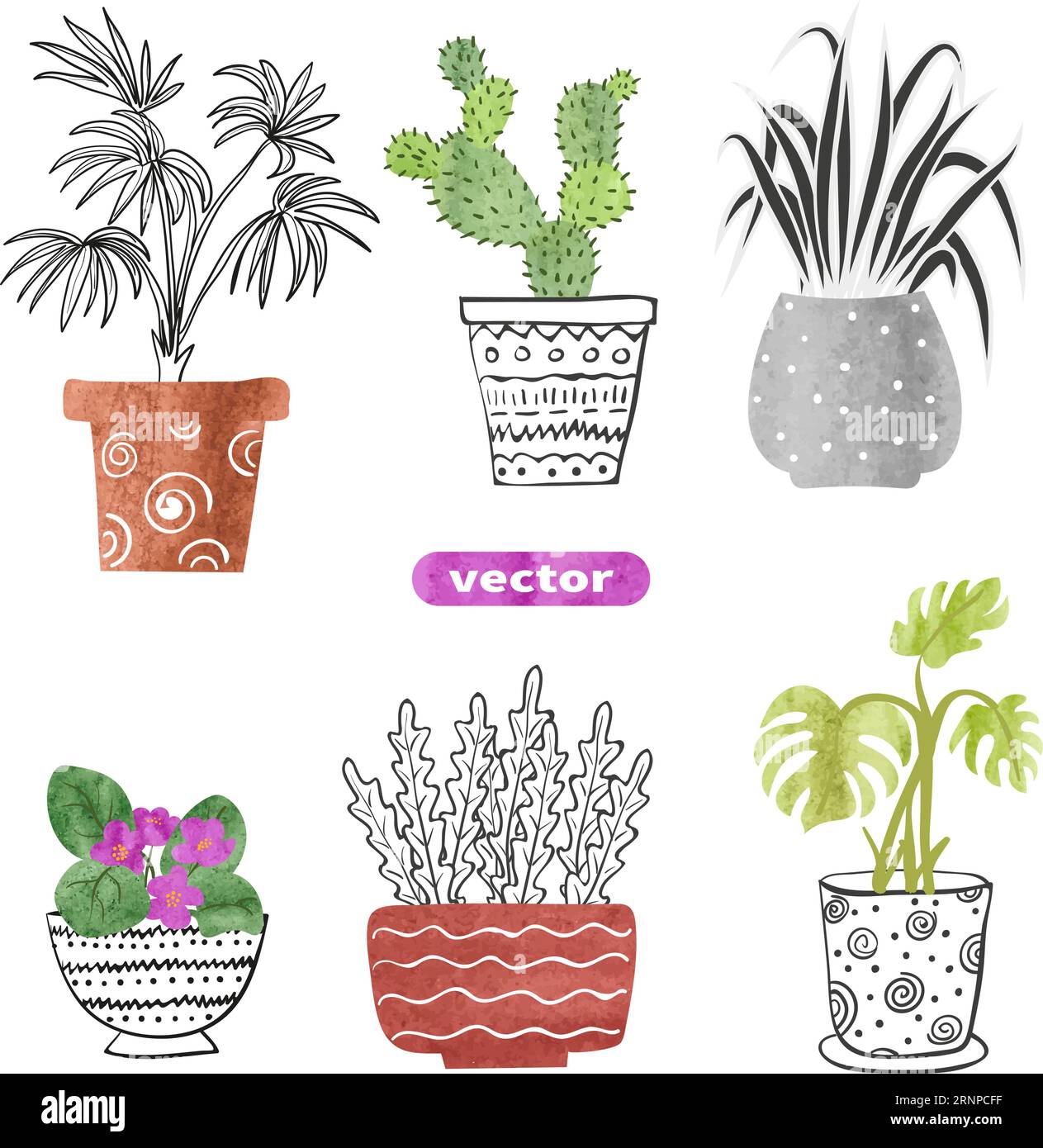 Set of hand drawn house plants in the pots isolated on white ...