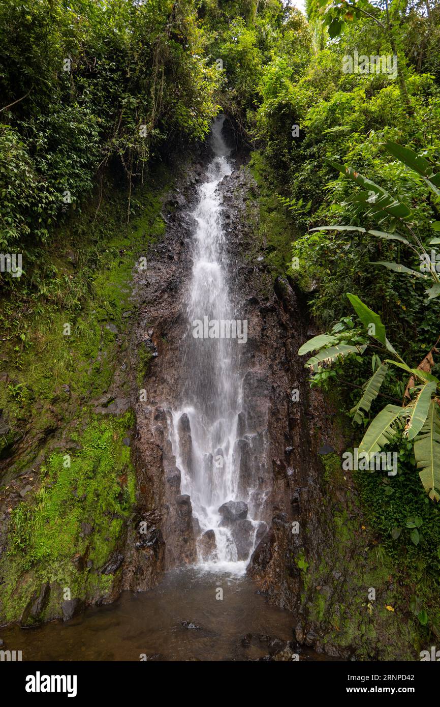 Water flows down rocks hi-res stock photography and images - Alamy