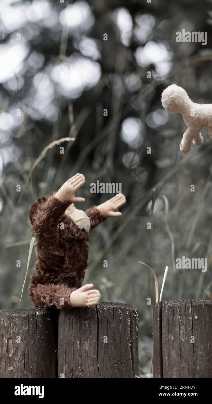 An old toy monkey stretching our his arms to catch a lamb Stock Photo ...