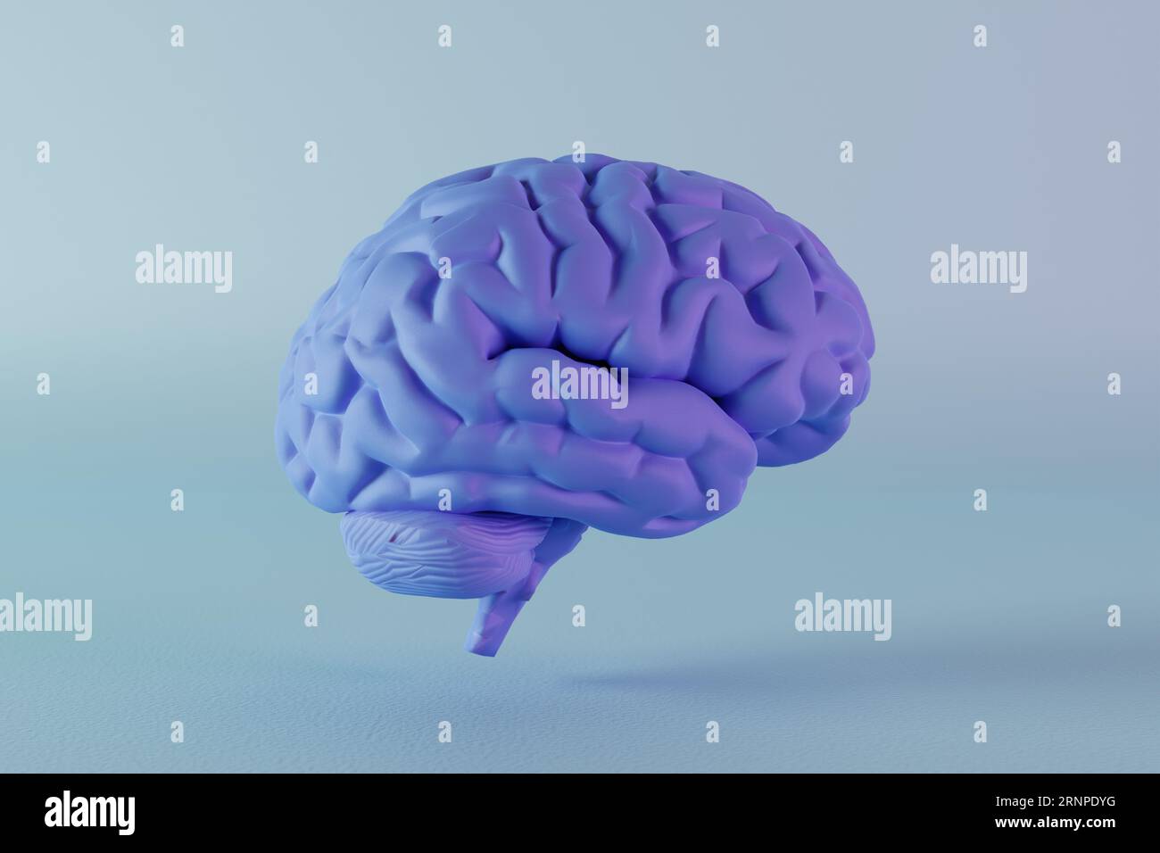 3D render of a blue male human brain on blue background. Concept for male and boy intuition and ...