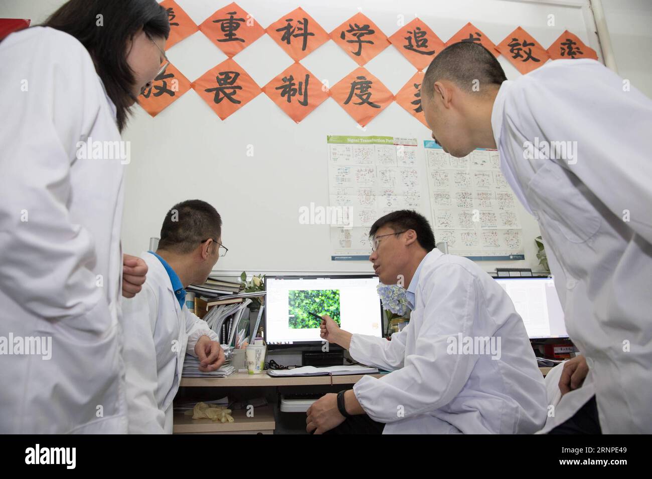 Postdoctoral fellows hi-res stock photography and images - Alamy