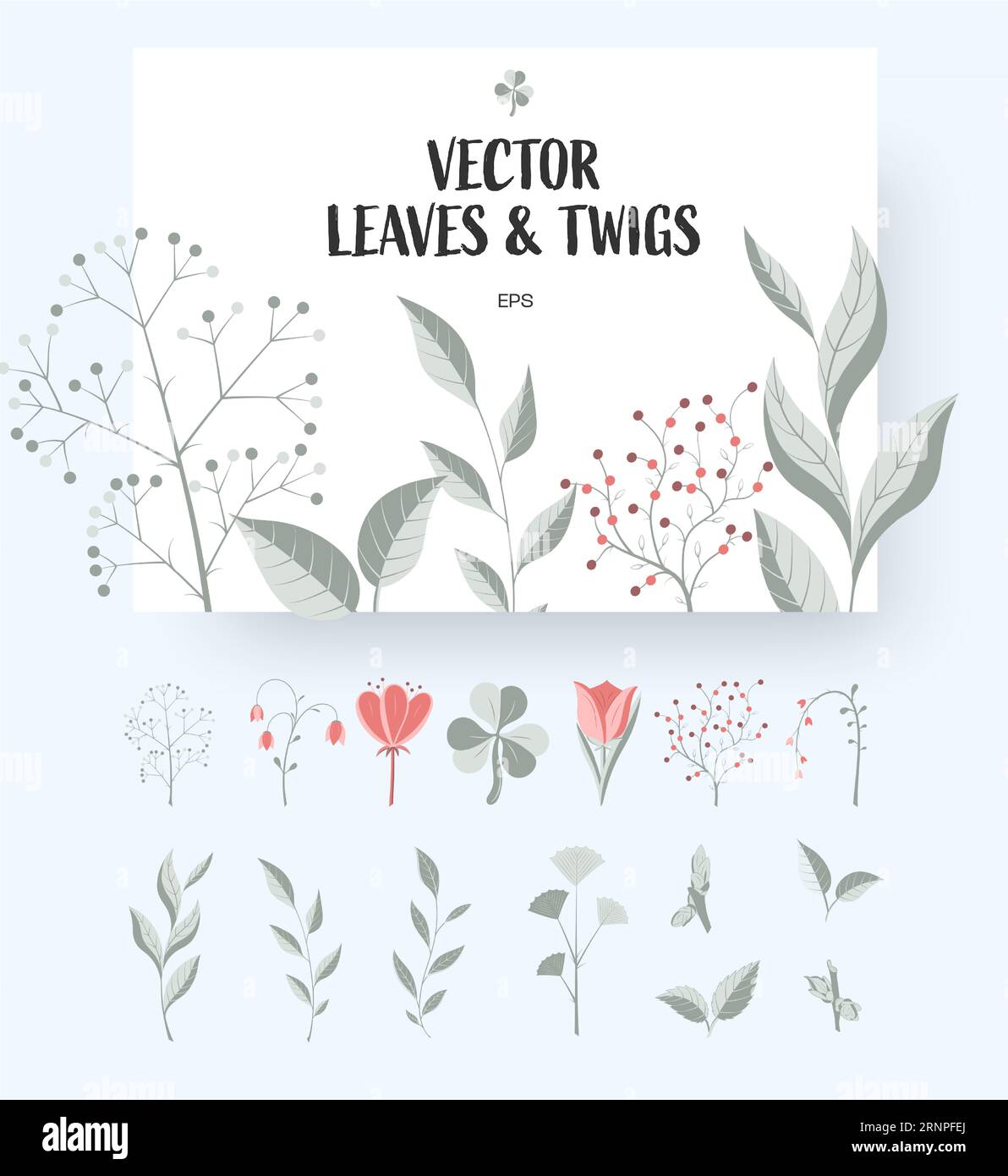 Plant twigs leaves vector Stock Vector Images - Alamy