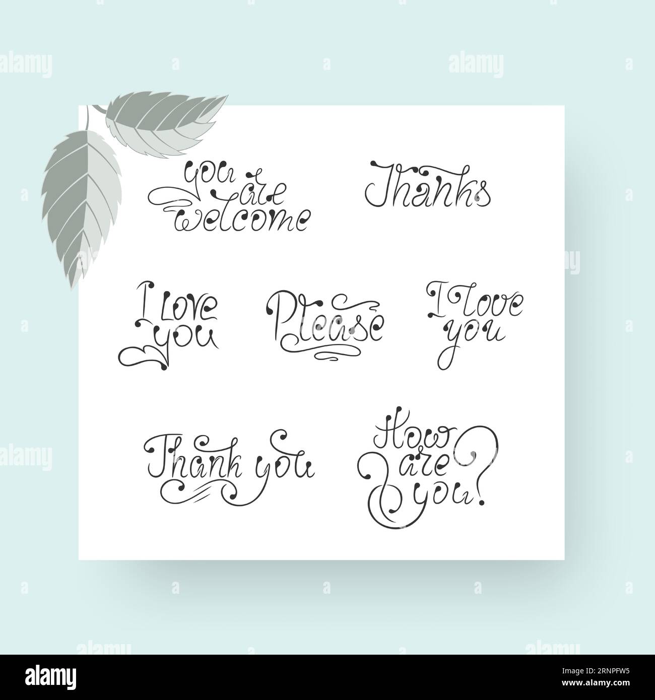Vector calligraphic lettering template on white square with leaves, isolated on background. A ...