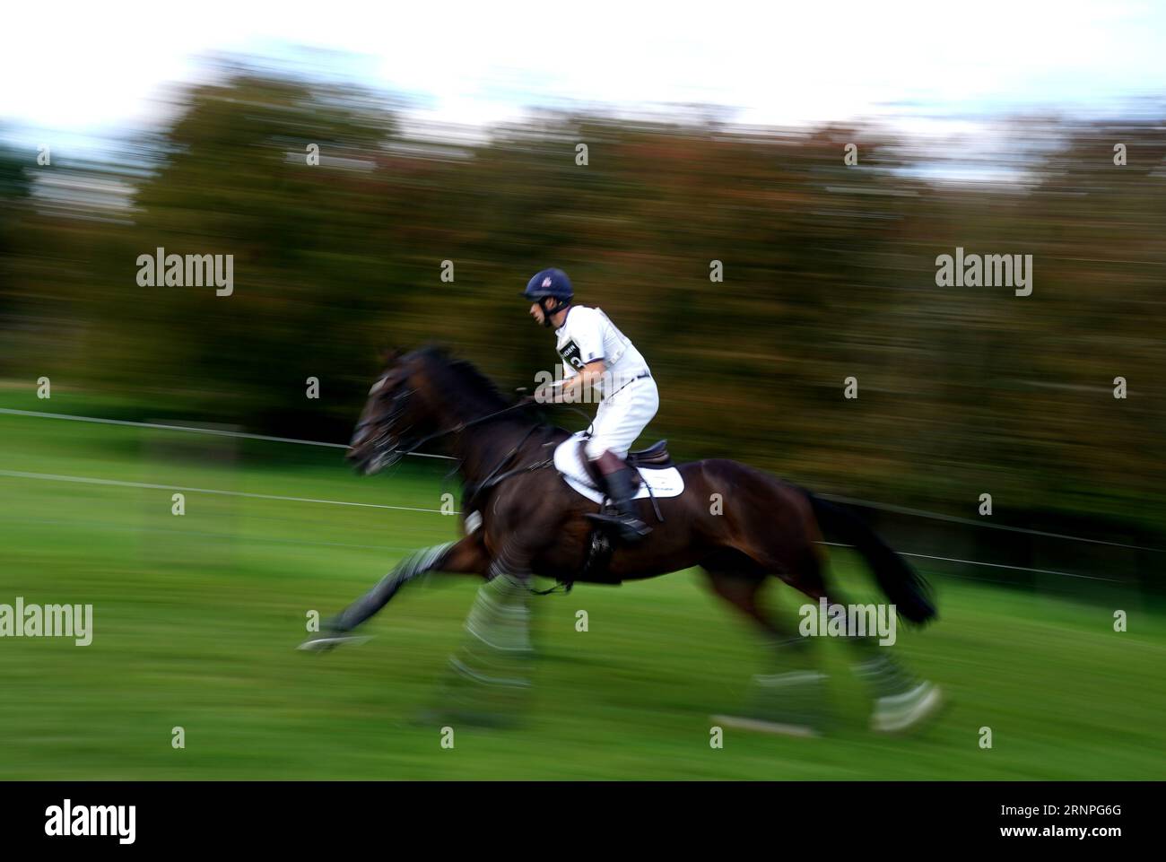 Horse cavalier crystal hi-res stock photography and images - Alamy