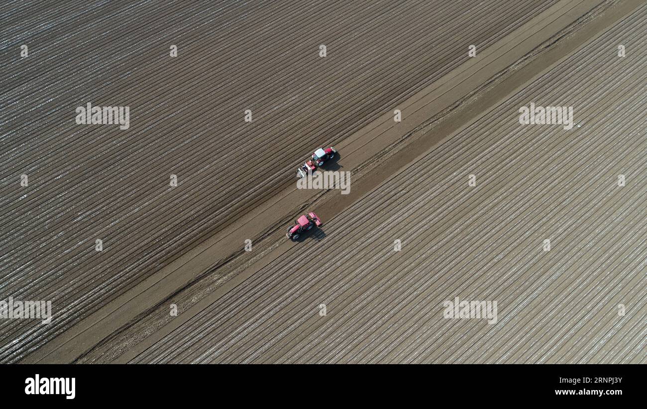 Farmers planters plant mulched peanuts hi-res stock photography and ...