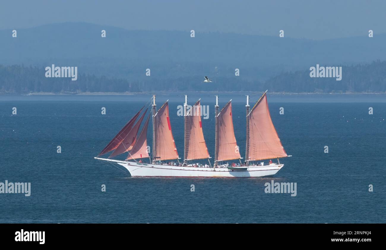 Bar Harbor Schooner Rides Profile For Discover Bar Harbor