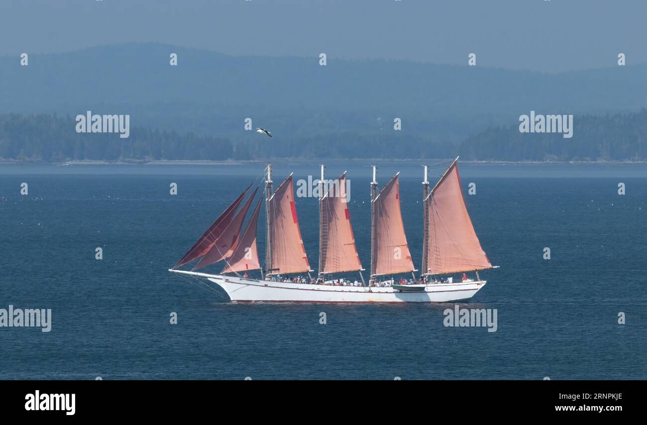 four masted schooner in full sail, in Bar Harbor with the American flag ...