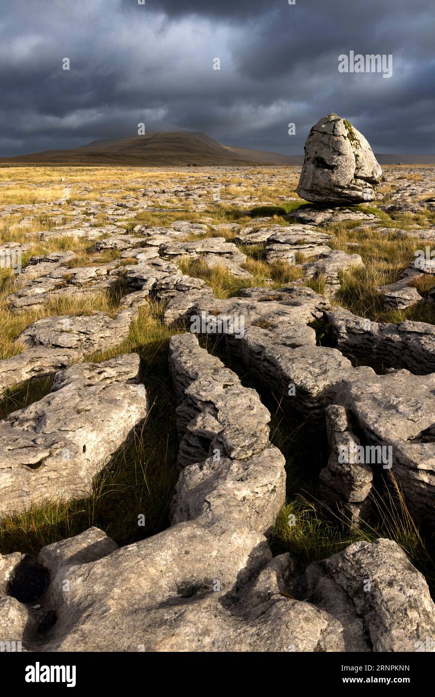 Glacial erratic and view to Whernside hill from Limestone pavement at ...