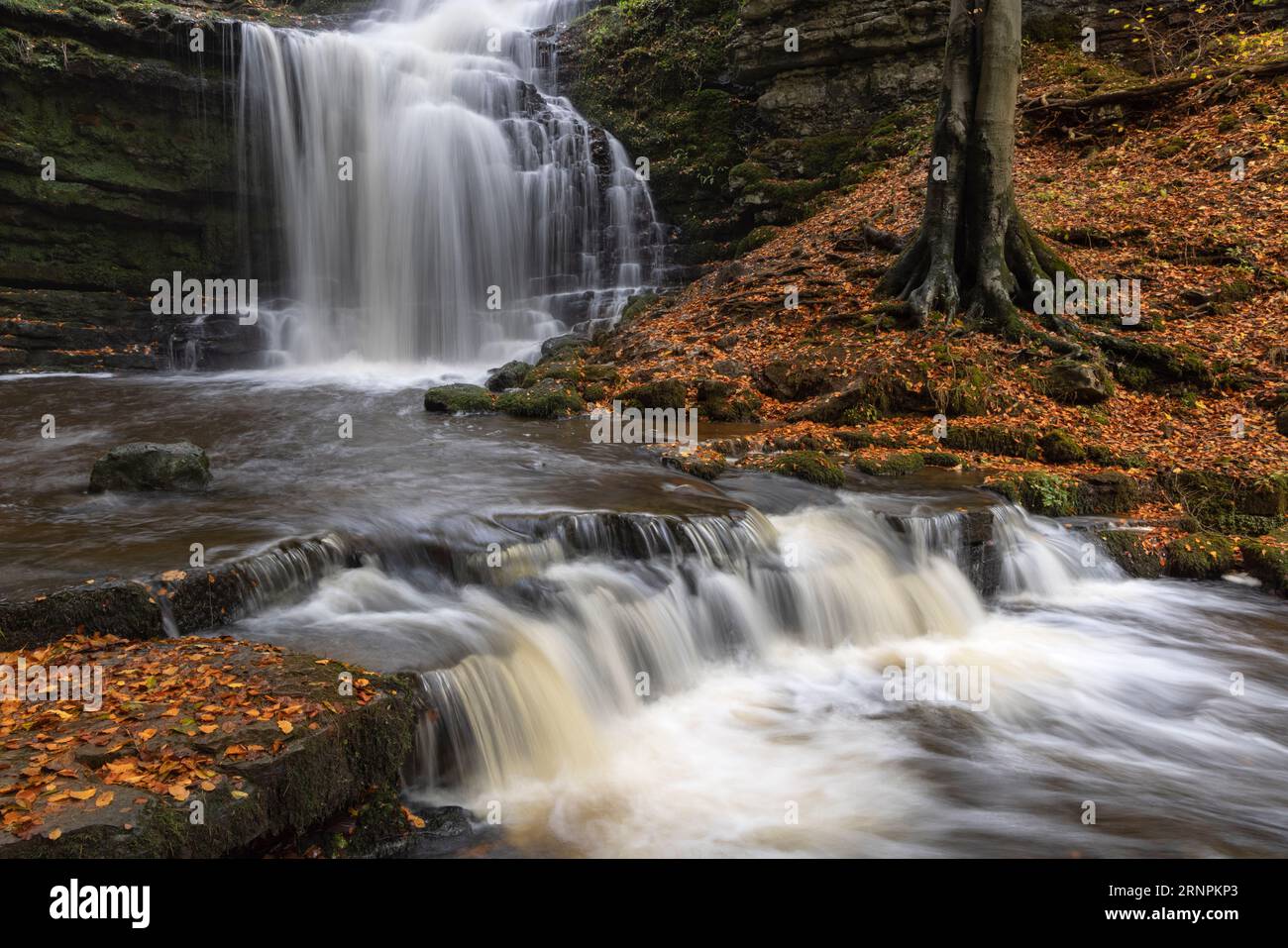 Scaleber Force waterfall above Settle, Yorkshire Dales, North Yorkshire ...