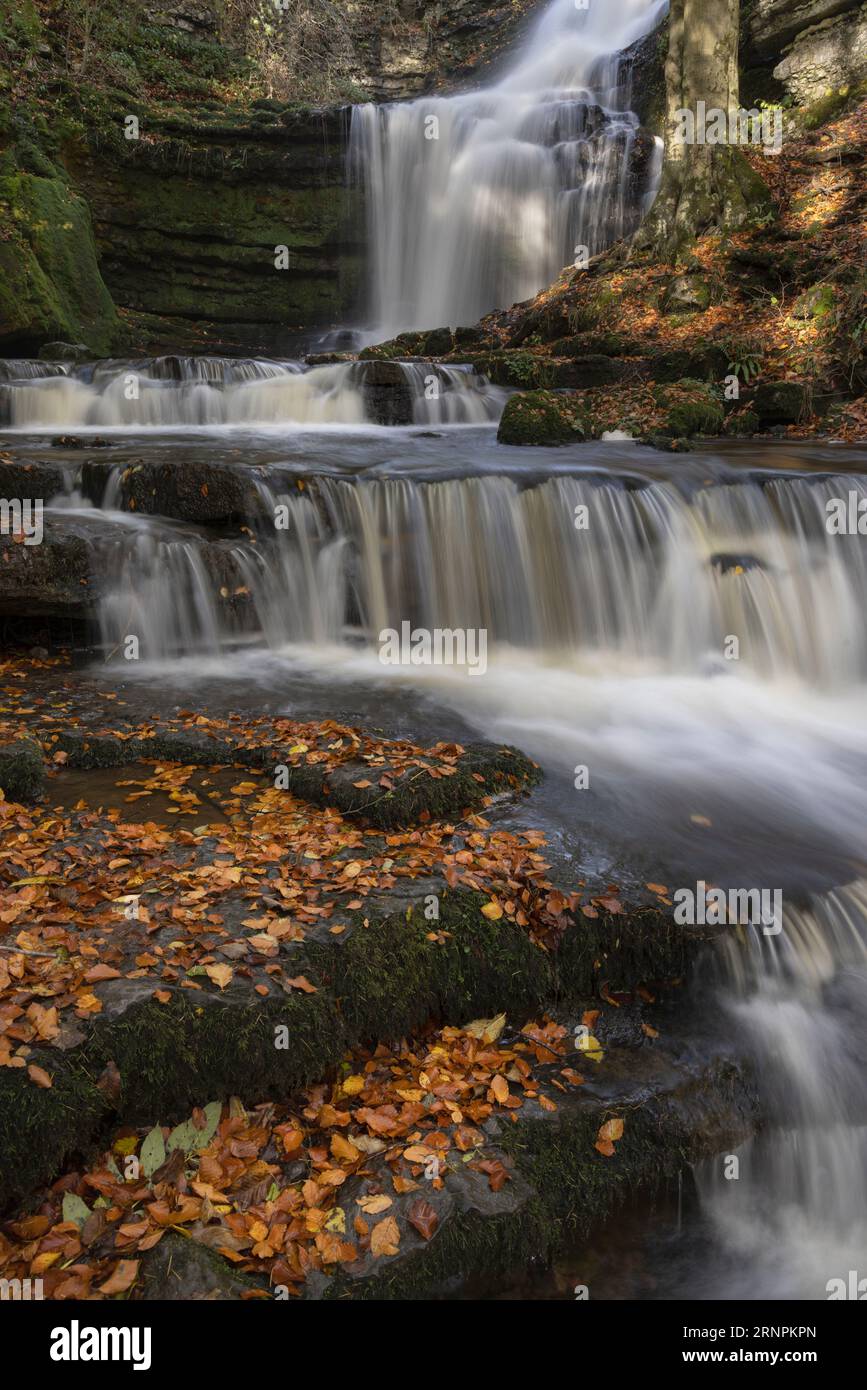 Scaleber Force waterfall above Settle, Yorkshire Dales, North Yorkshire ...